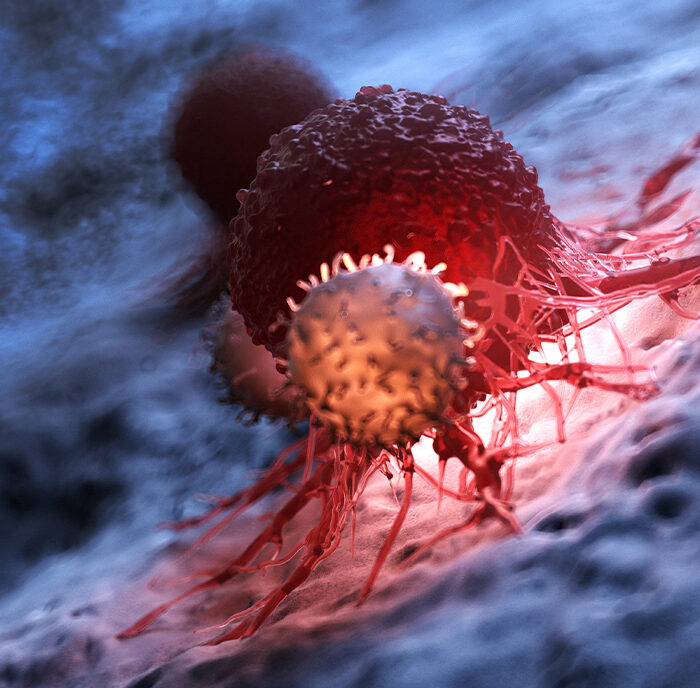 Biocenter News – Biocenter Innsbruck