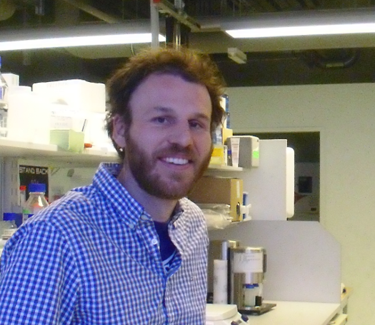 Cell Biology – Biocenter Innsbruck